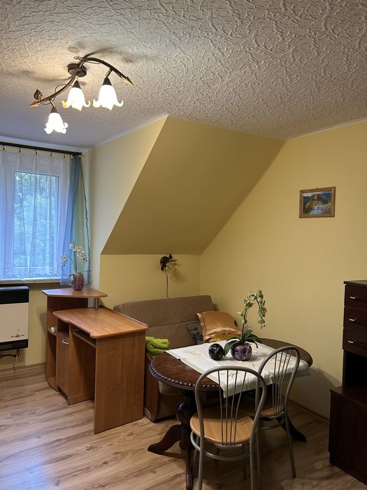 Mieszkanie dla studenta/studentki ŚUM Zabrze-Helenka Zabrze • OLX.pl