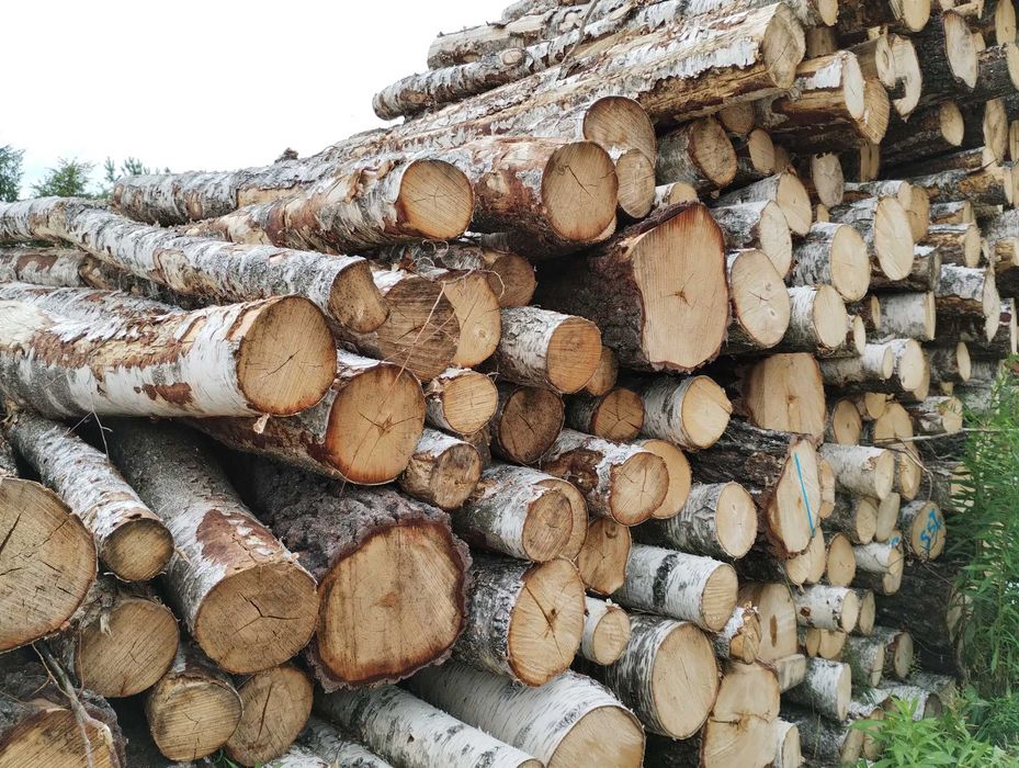 Drewno opalowe w metrach - SUCHA OLCHA, BRZOZA ,GRAB,ŚWIERK,SOSNA ...