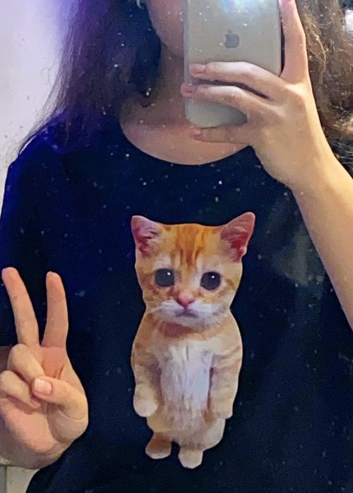 Футболка із принтом кота . Мемний кот El gato . Чорна футболка: 350 грн ...