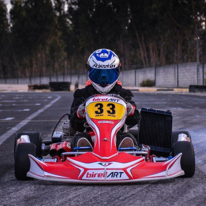 Kart “Birel Art” com motor IAME X30 Super 175cm3 Santo António dos Olivais • OLX Portugal