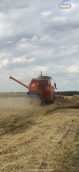 Kombajn zbożowy bizon sampo 2020 Stawce • OLX.pl