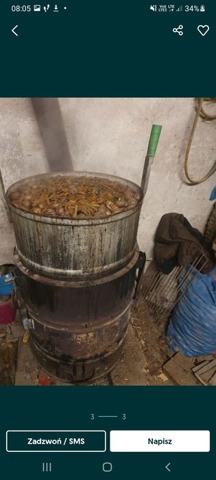 Tucznik eko ekologiczny bez antybiotyków Bydgoszcz • OLX.pl