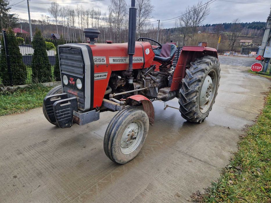Massey Ferguson Mf255 Rok 1988 Oryginał 1900mth Korzenna • OLX.pl