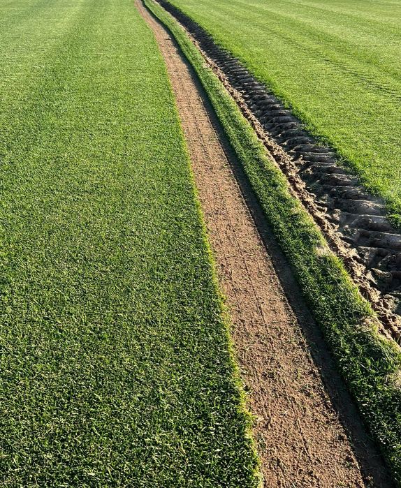 Relva natural em rolo Alverca Do Ribatejo E Sobralinho • OLX.pt