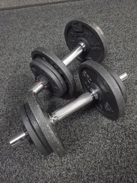 Par de Halteres domyos 10kg cada Camarate, Unhos E Apelação • OLX.pt