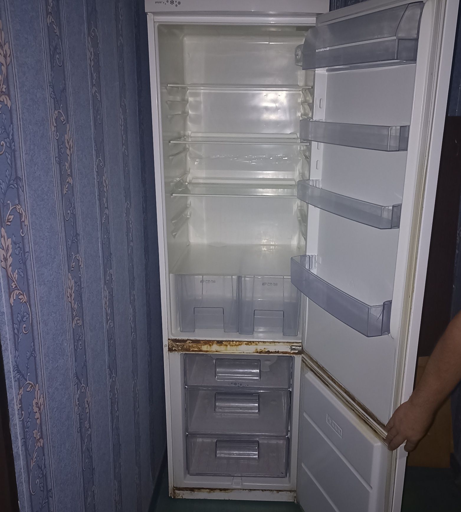 Холодильник двухкамерный ZANUSSI: 4 000 грн. - Холодильники Запоріжжя ...