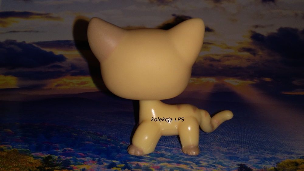 LPS Littlest Pet Shop shorthair #886 oryginalny kotek oryginał POP ...