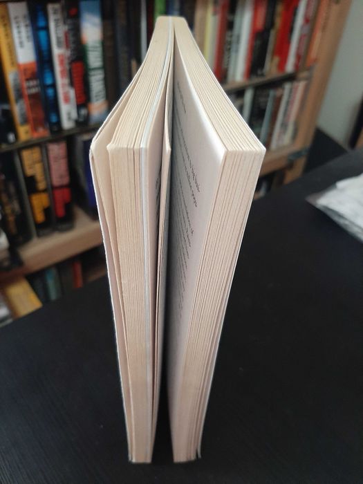 Justin Kaplan – When the Astors Owned NY: Grand Hotels in a Gilded Age ...