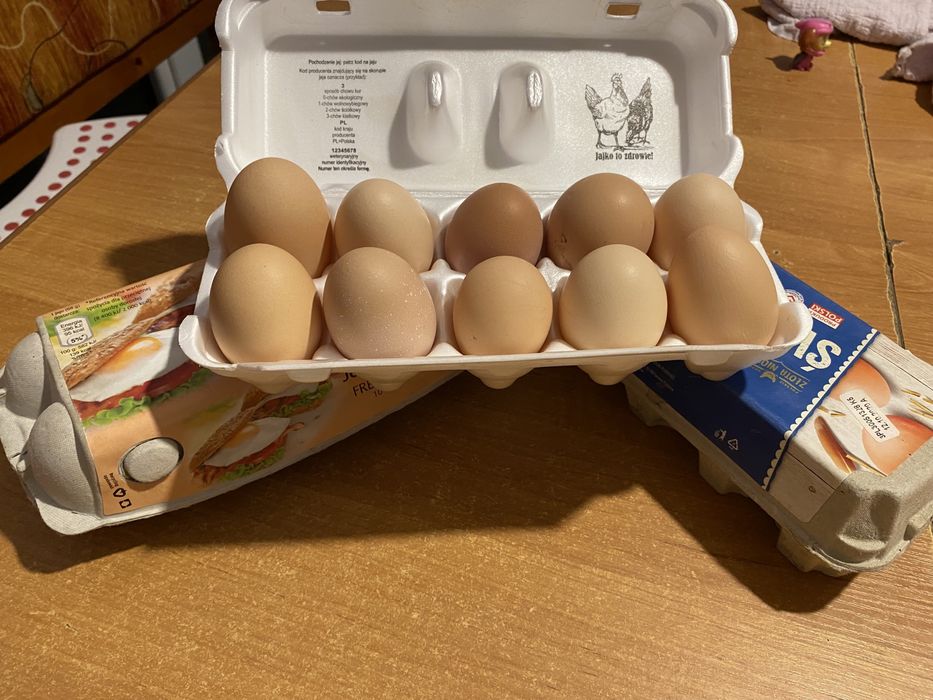 Jajka wiejskie z wolnego wybiegu Zalesie • OLX.pl