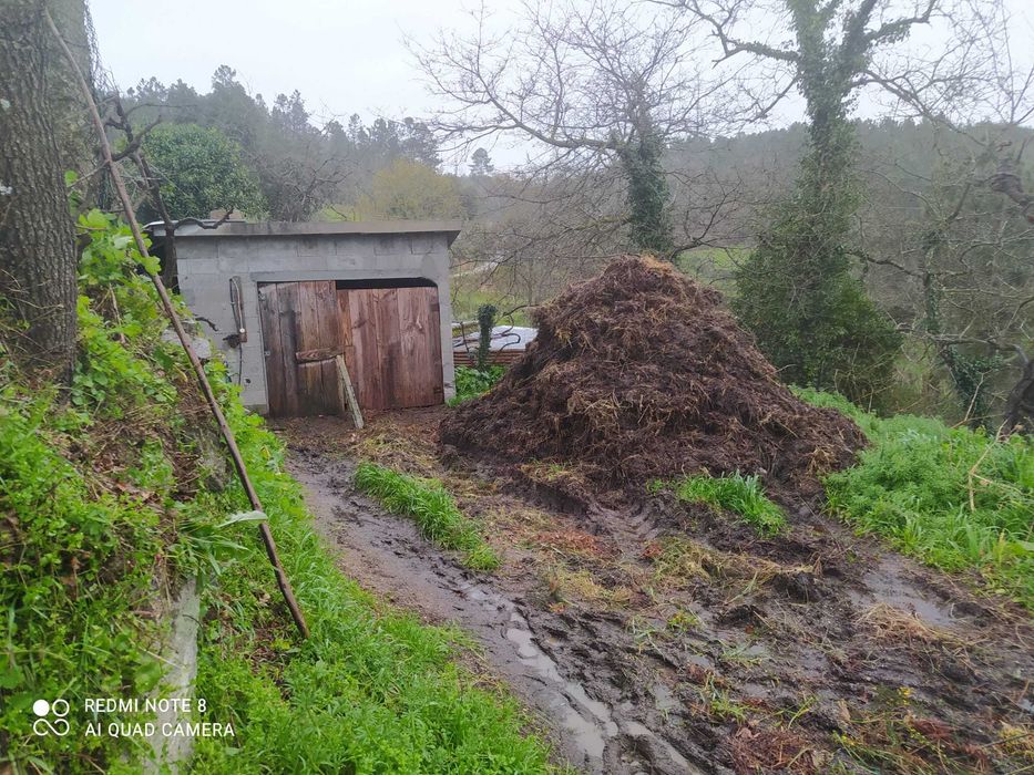 Adubo Natural (Estrume) Várzea, Aliviada E Folhada • OLX.pt