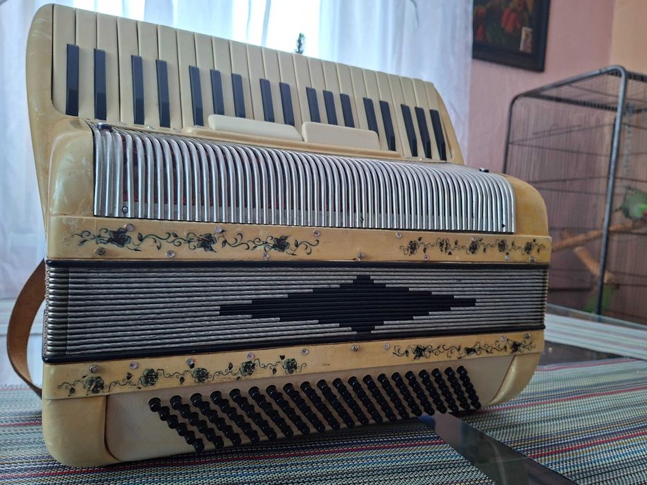 Scandali akordeon Brzozowica Duża • OLX.pl