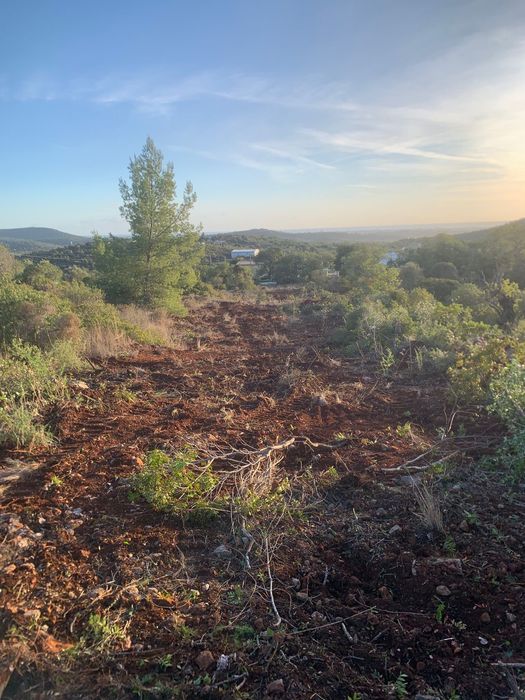 Vendo Terreno Rustico em Loulé €13.500 Faro (Sé E São Pedro) • OLX.pt