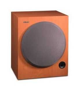 SubWoofer Activo SONY SA-WM250 Cerejeira - 150W de baixos potentes ...