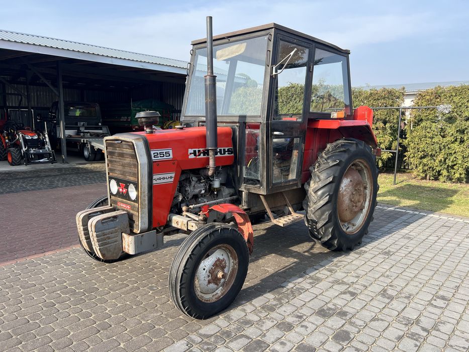 Mf255 Massey ferguson 255 ursus 255 , 3512 ciagnik rolniczy Biała ...