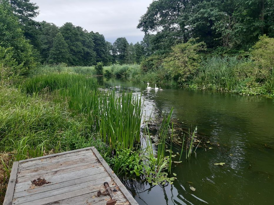 Domek letniskowy w warmińskim zaciszu nad rzeką Pisą i jeziorem Wadąg ...