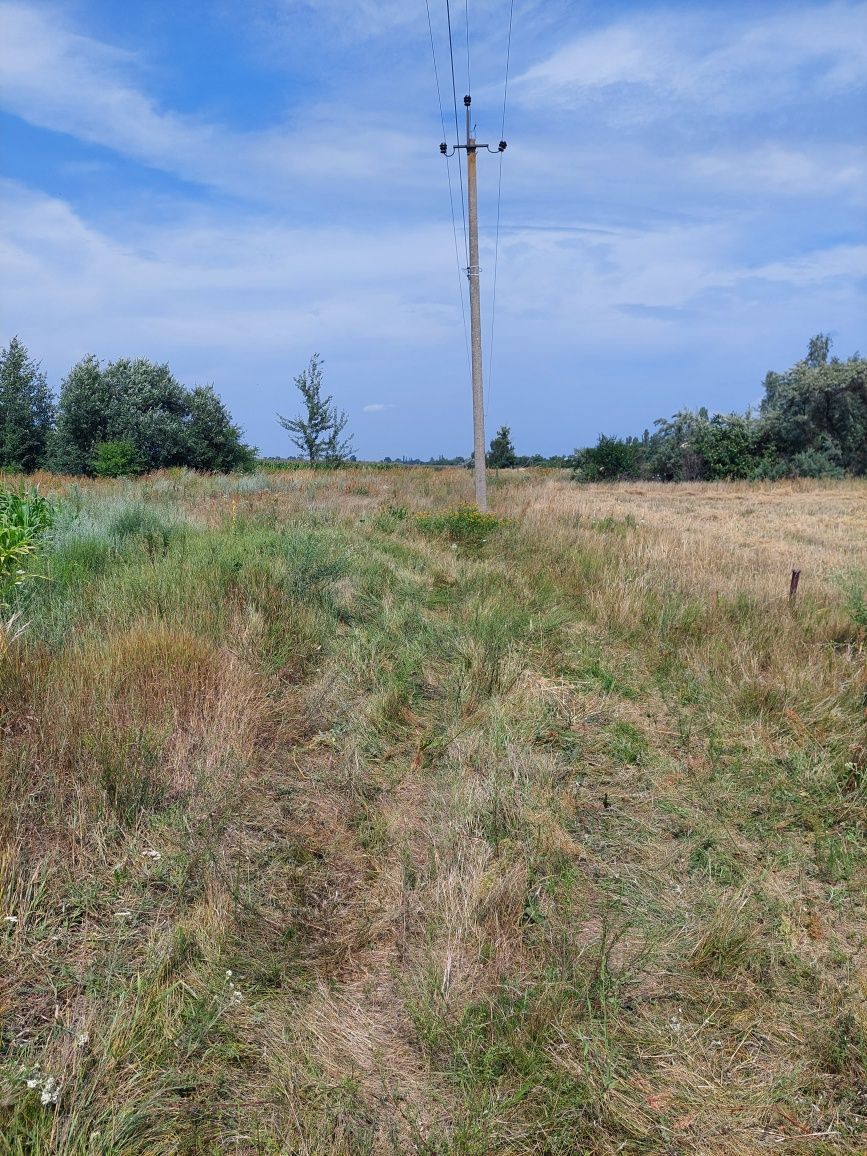 Земля сільськогосподарського призначення: 200 $ - Продаж землі Бабинці ...