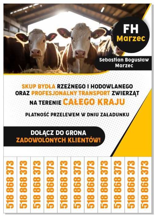 Skup bydła i transport bydła. Giżycko • OLX.pl
