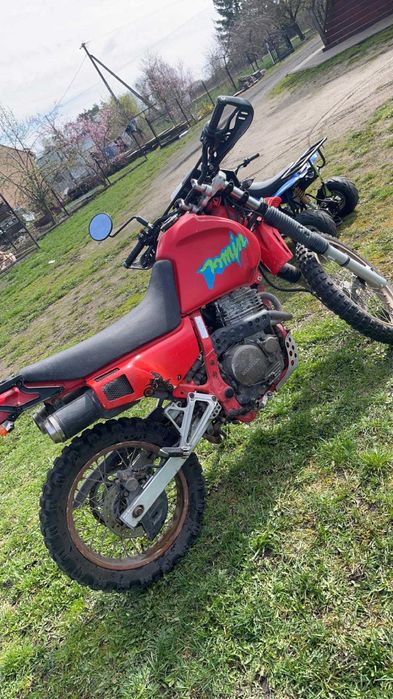 Honda nx 650 dominator Więcbork • OLX.pl