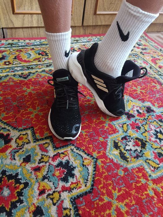 Кроссовки адидас Climacool: 700 грн. - Інші кросівки Дніпро на Olx