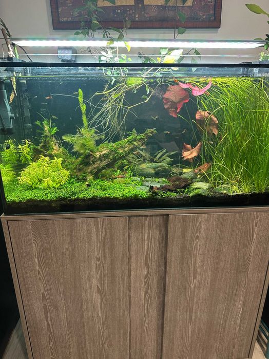 Aquario Completo de 1 Metro Corroios • OLX.pt