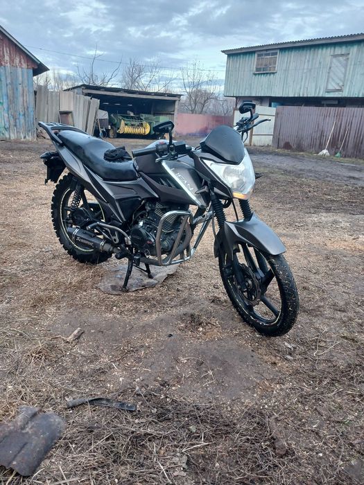 Мотоцикл Lifan LF150 2-e: 34 000 грн. - Мотоцикли Борзна на Olx