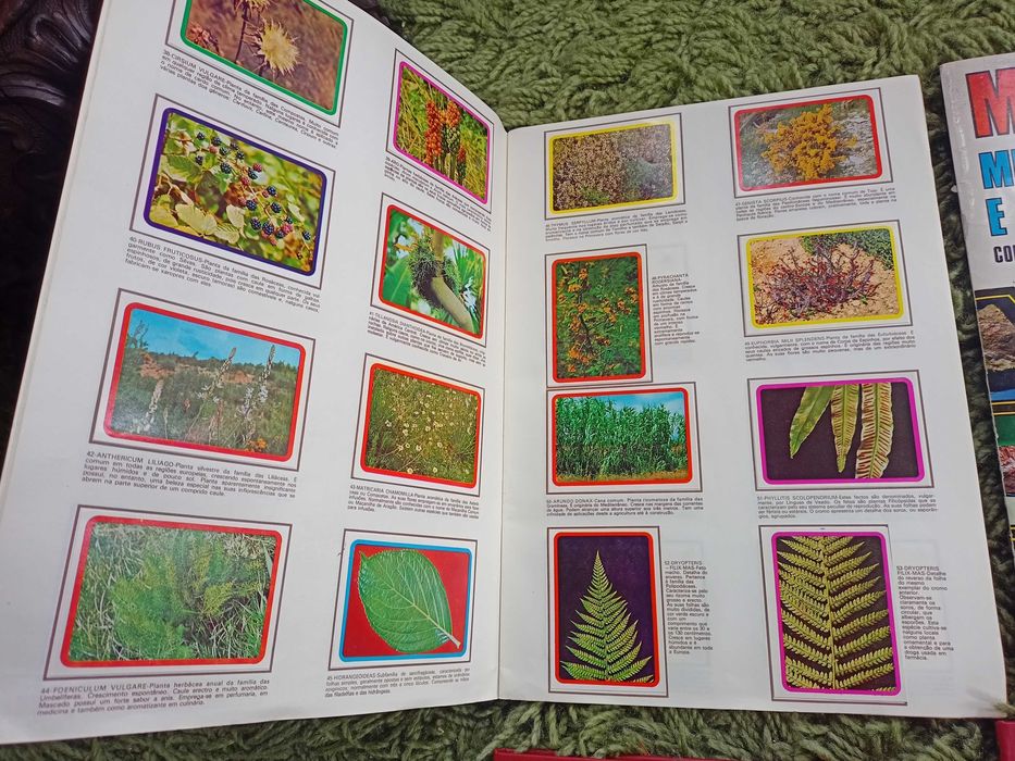 Cadernetas de Cromos Completas Guimarães • OLX Portugal