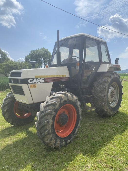 Case David Brown 1494 Jeleniów • OLX.pl