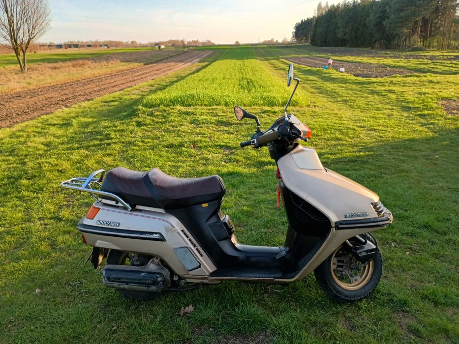 Honda Spacy 250 Rzeszów • OLX.pl