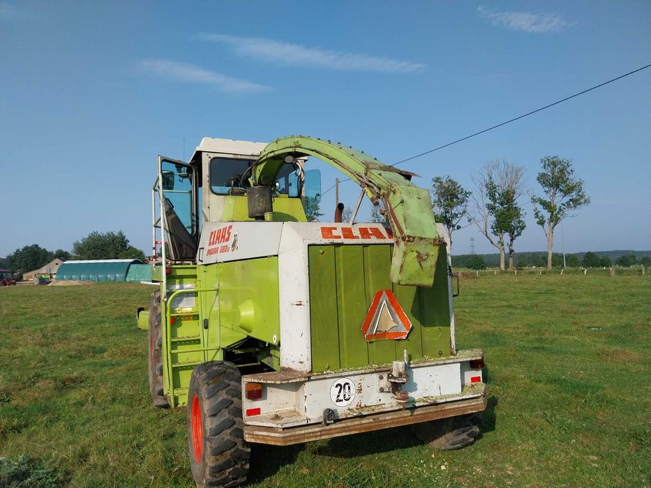 Sieczkarnia Claas do kukurydzy Kniewo • OLX.pl