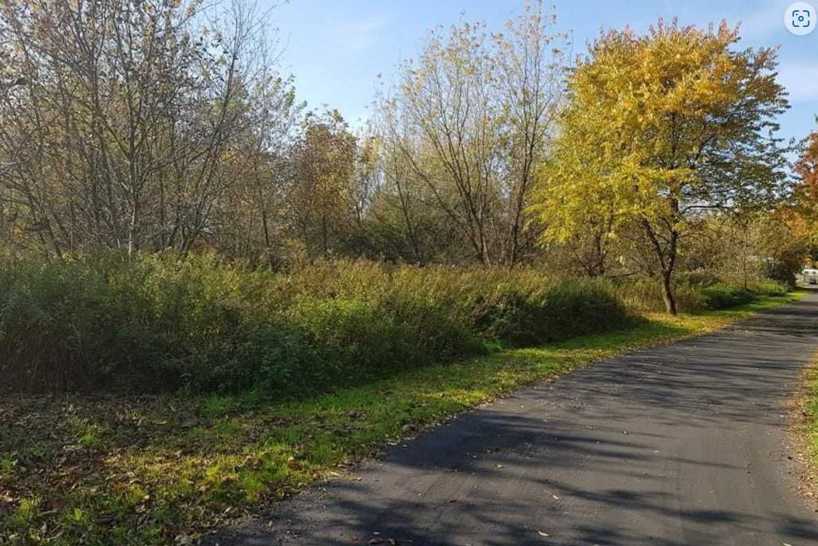 Piękna dzialka budowlana w centrum Tarnowa Tarnów • OLX.pl Piękna dzialka budowlana w centrum Tarnowa Tarnów • OLX.pl