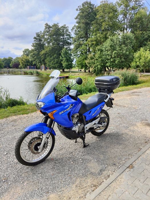 Honda Transalp XL650V Jasieniec • OLX.pl