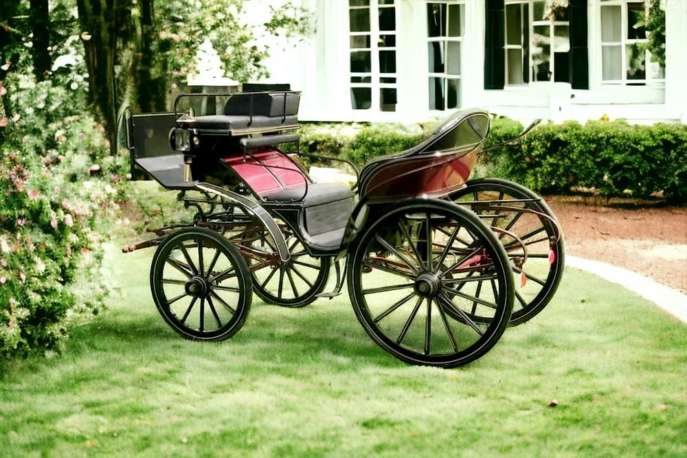 Bryczka konna powóz kareta Victoria Włoszczowa • OLX.pl