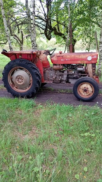 Ciągnik Massey Ferguson 135 Pleszew • OLX.pl