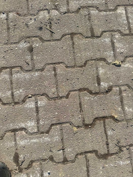 Kostka brukowa betonowa Katowice Brynów-cz. Wsch.-Osiedle Zgrzebioka • OLX.pl