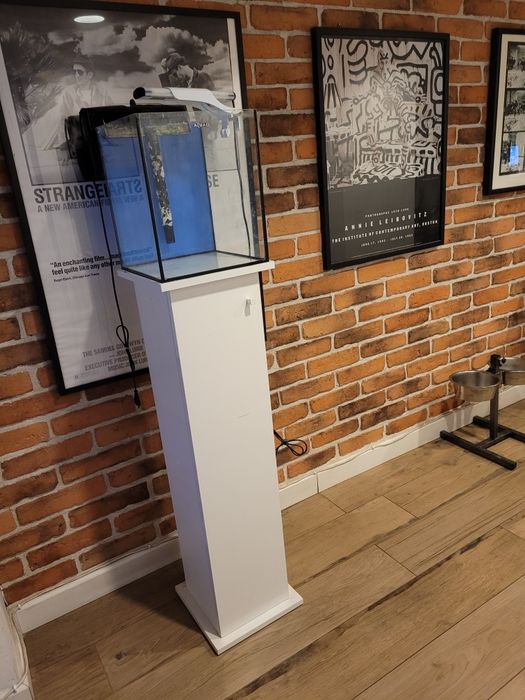 Aquael Nano Reef akwarium morskie Gliwice Obrońców Pokoju • OLX.pl