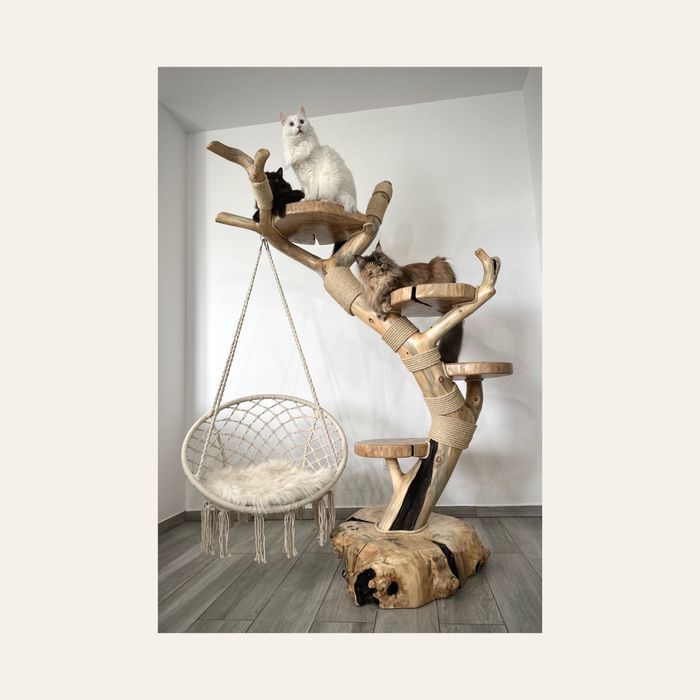 Naturalny drapak z drewna drzewko słupek stabilny drewniany drapak ...