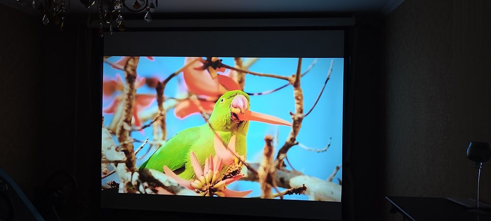 Проектор Panda Stella-A 1920x1080 супровід 4к 8000 Люмен 600 ансі: 5 ...