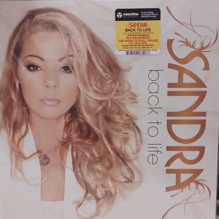 Коллекция виниловых пластинок CC Catch, Fancy, Sandra, Secret Service ...