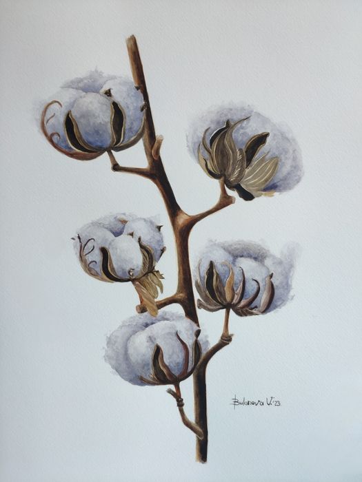 Картина аквареллю Гілочка бавовни 700 грн Живопись Одесса на Olx