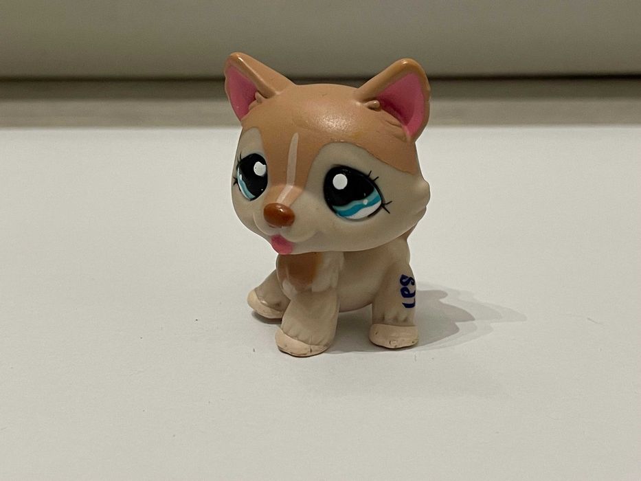 LPS - Littlest Pet Shop - pies husky #1012 Bydgoszcz • OLX.pl