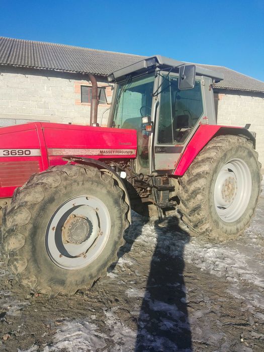 Massey Ferguson 3690 Grabów • OLX.pl