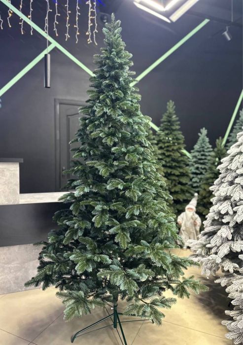 Ялинка канадська 1 850 грн Інші товари для дому Ковель на Olx