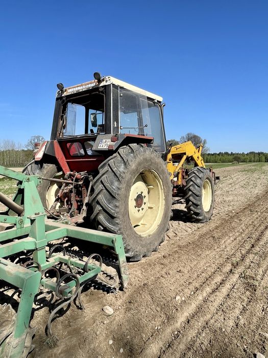 International 955 ihc case Zychorzyn • OLX.pl