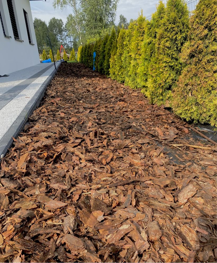 Kora Sosnowa ŚREDNIOGRUBA Workowana 80l (średnia, gruba) Kraków Wzgórza ... Kora Sosnowa ŚREDNIOGRUBA Workowana 80l (średnia, gruba) Kraków Wzgórza ...