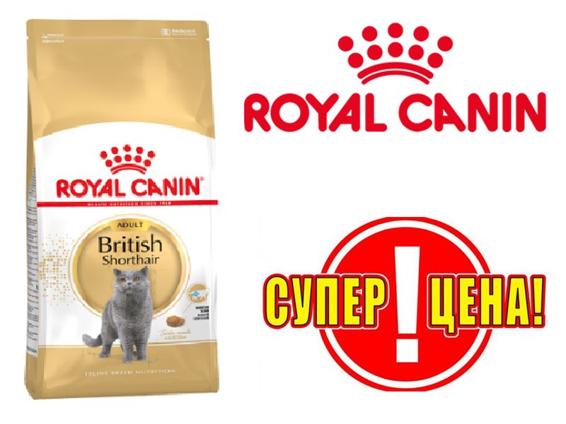 Royal Canin (Роял Канин) British Shorthair 10кг- корм для британцев: 3 ...