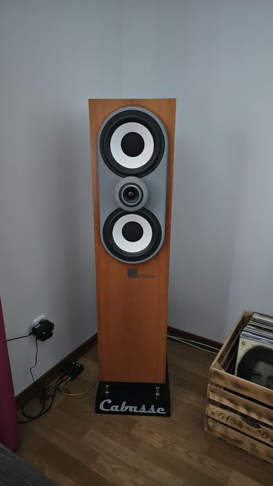 Fenomenalne kolumny Cabasse Iroise 500 Scs Merisier Skępe • OLX.pl