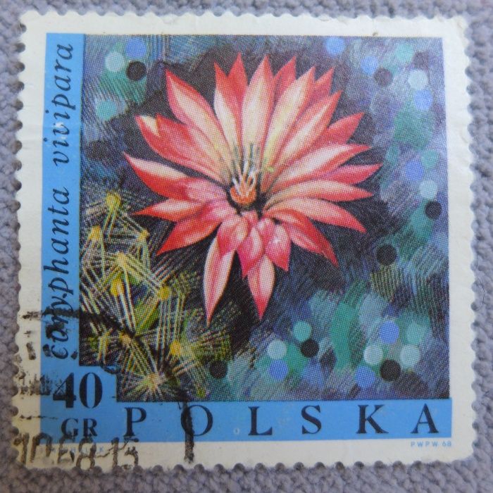 FILATELISTYKA stare znaczki pocztowe PRL 3 szt grafika POLSKA KWIATY ...