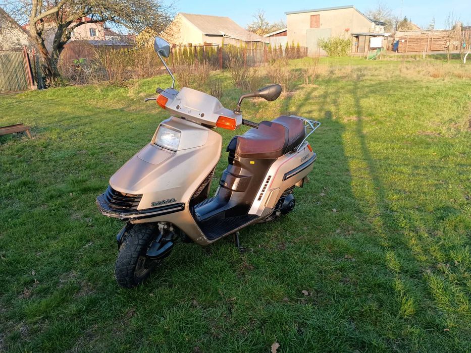 Honda Spacy 250 Rzeszów • OLX.pl