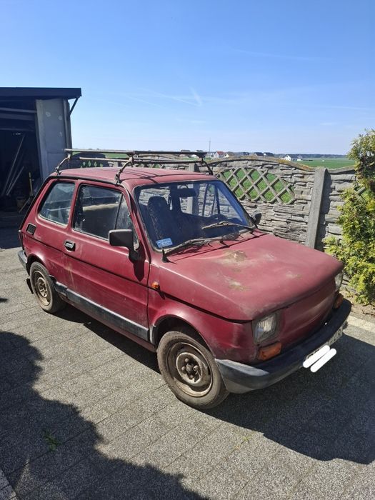 Fiat 126p, MALUCH 1986r. Milicz • OLX.pl