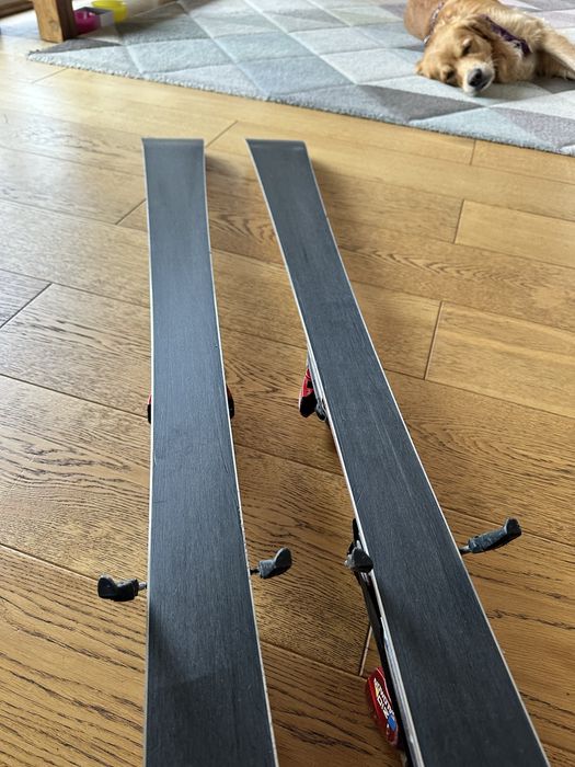 Narty Salomon 162 cm Gdańsk Piecki-Migowo • OLX.pl